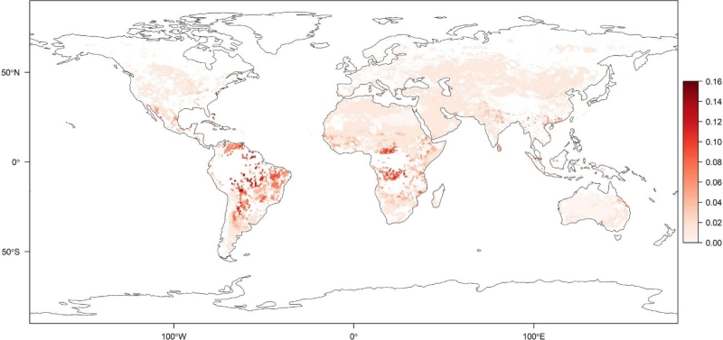 Global advanced bioenergy potential under environmental protection ...